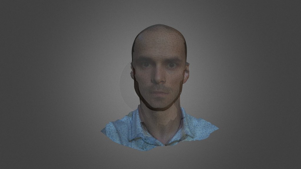 Face_textured - 3D model by Tamas (@tamassafar) [911c2c5] - Sketchfab