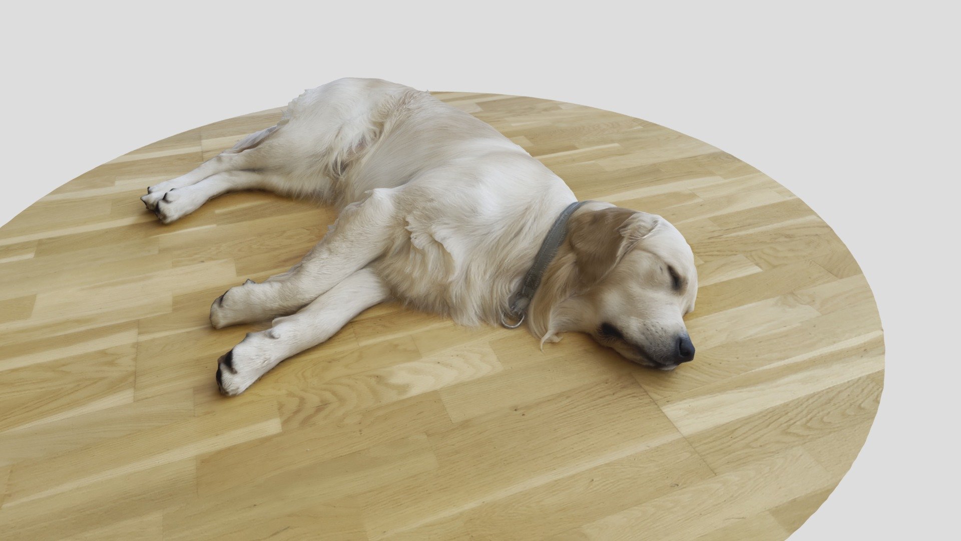 Dog - 3D model by andreasmyrin [911cd58] - Sketchfab