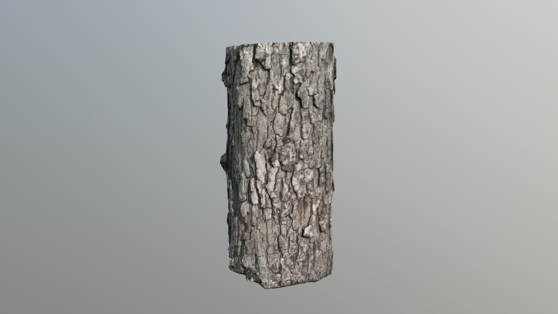 Tree bark scan - 3D model by ianmacboyd [9129329] - Sketchfab