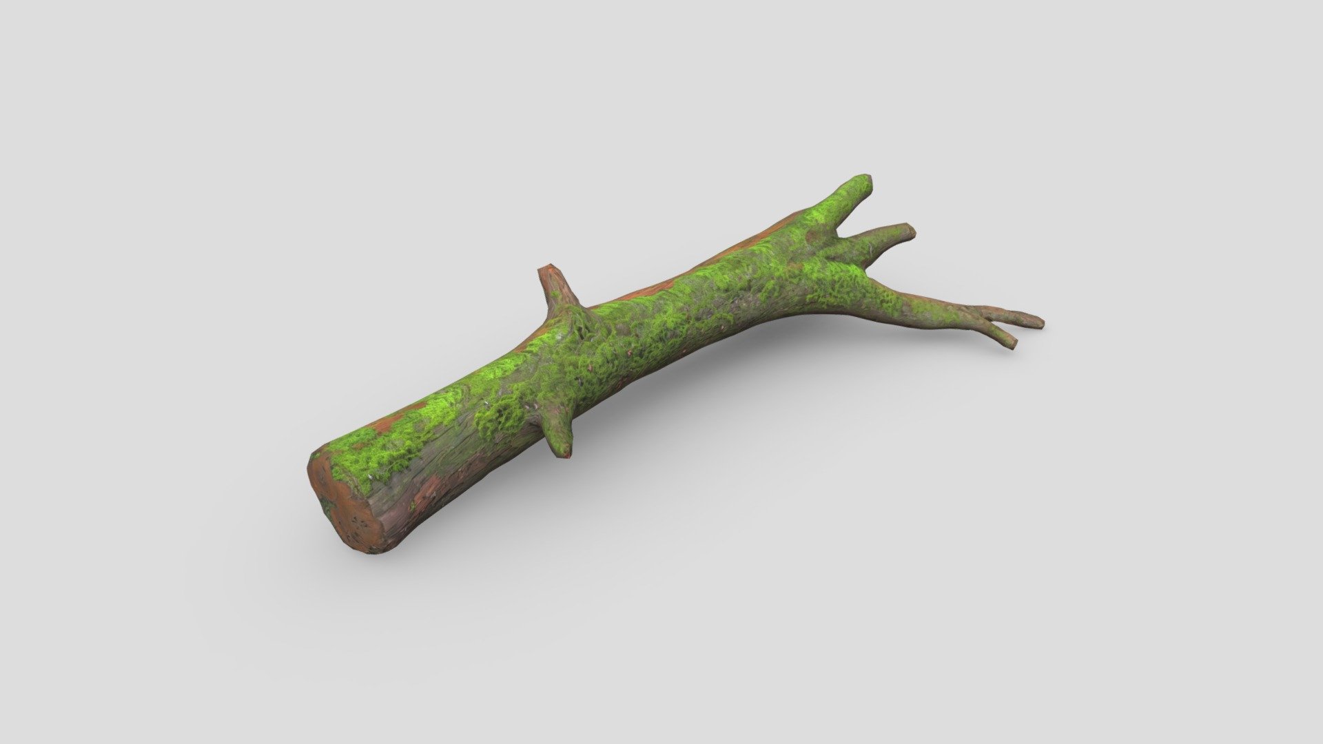 Fallen Tree 3 - Buy Royalty Free 3D model by plaggy [91293b7 ...