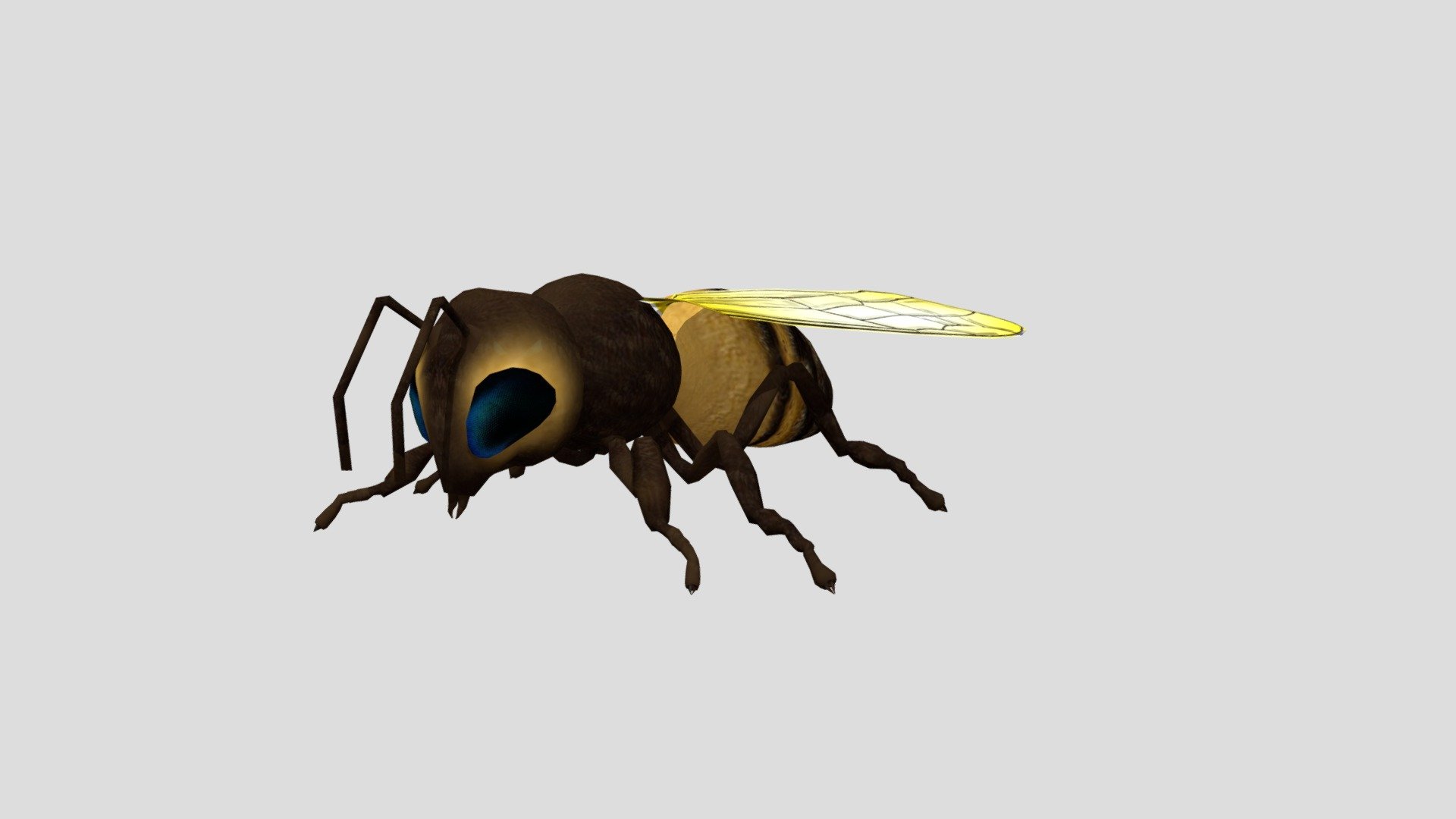 Honey Bee (Animated) - 3D model by Muhammad Faisal Bilal (@MFaisalBilal ...