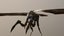 MOTHRA - Download Free 3D model by Orni (@lemonjuice162) [913176d ...