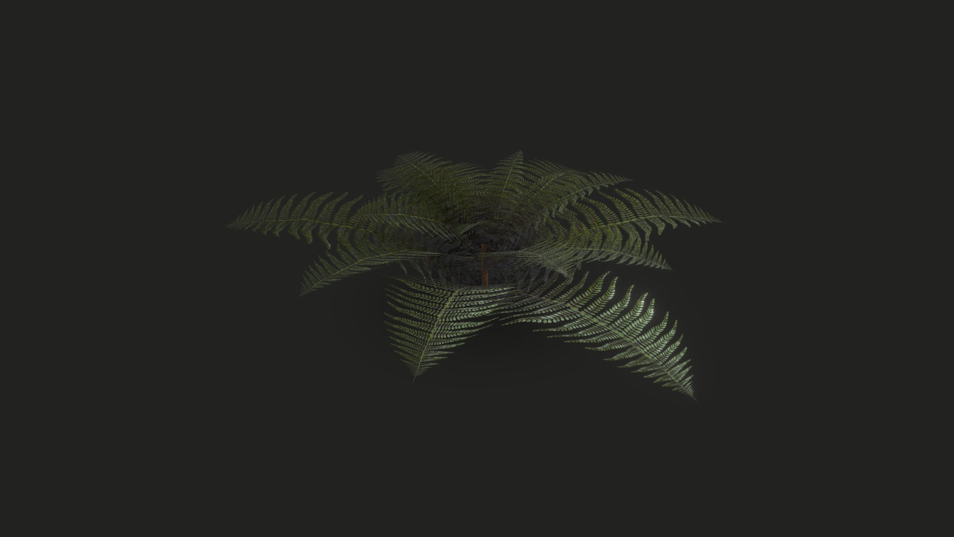 gameready fern - 3D model by RedAuburn [913c0ff] - Sketchfab