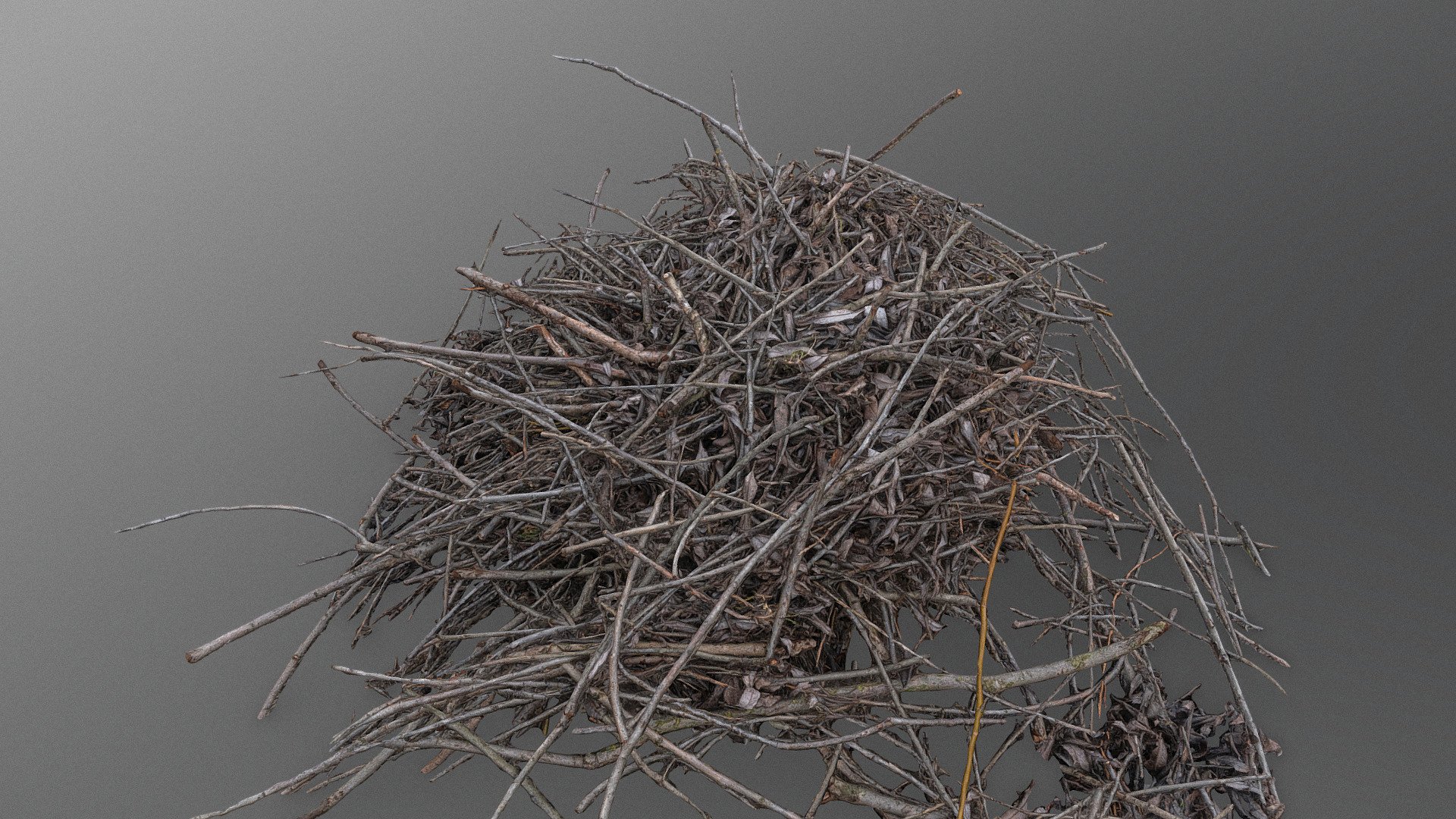 Small branches pile - Buy Royalty Free 3D model by matousekfoto ...