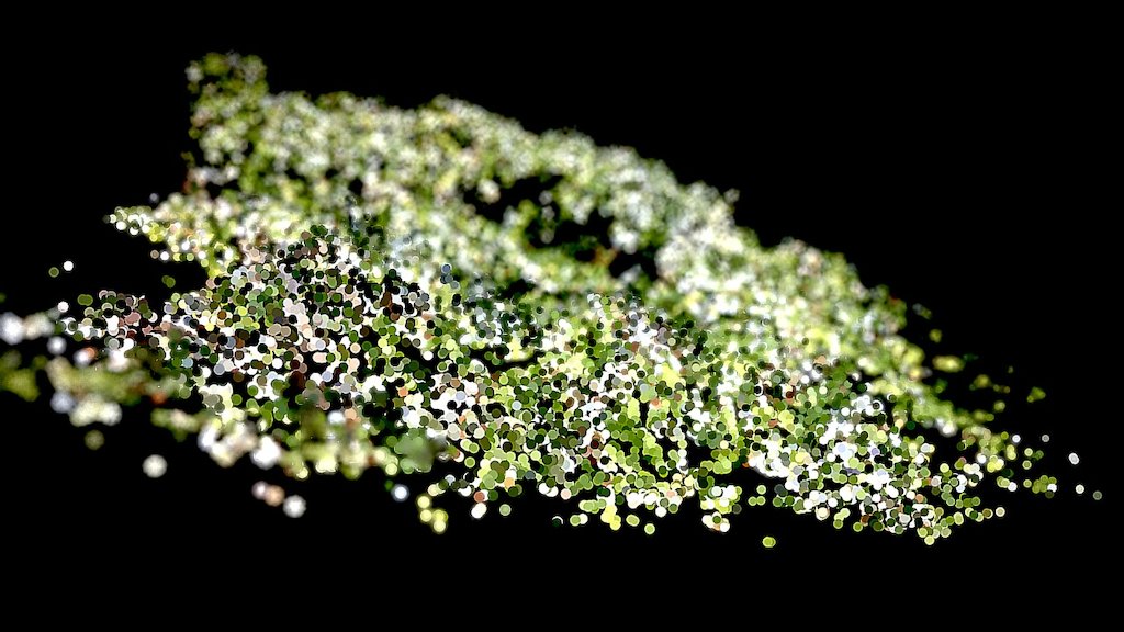 Night Blooming Point Cloud - 3D model by tscheer [913d0f1] - Sketchfab