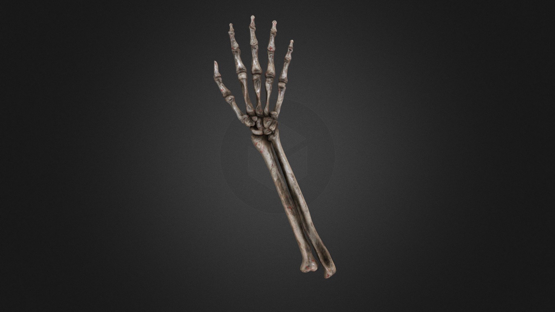 Bone Hand - 3D model by Tooby GG (@amsohappy) [914199d] - Sketchfab