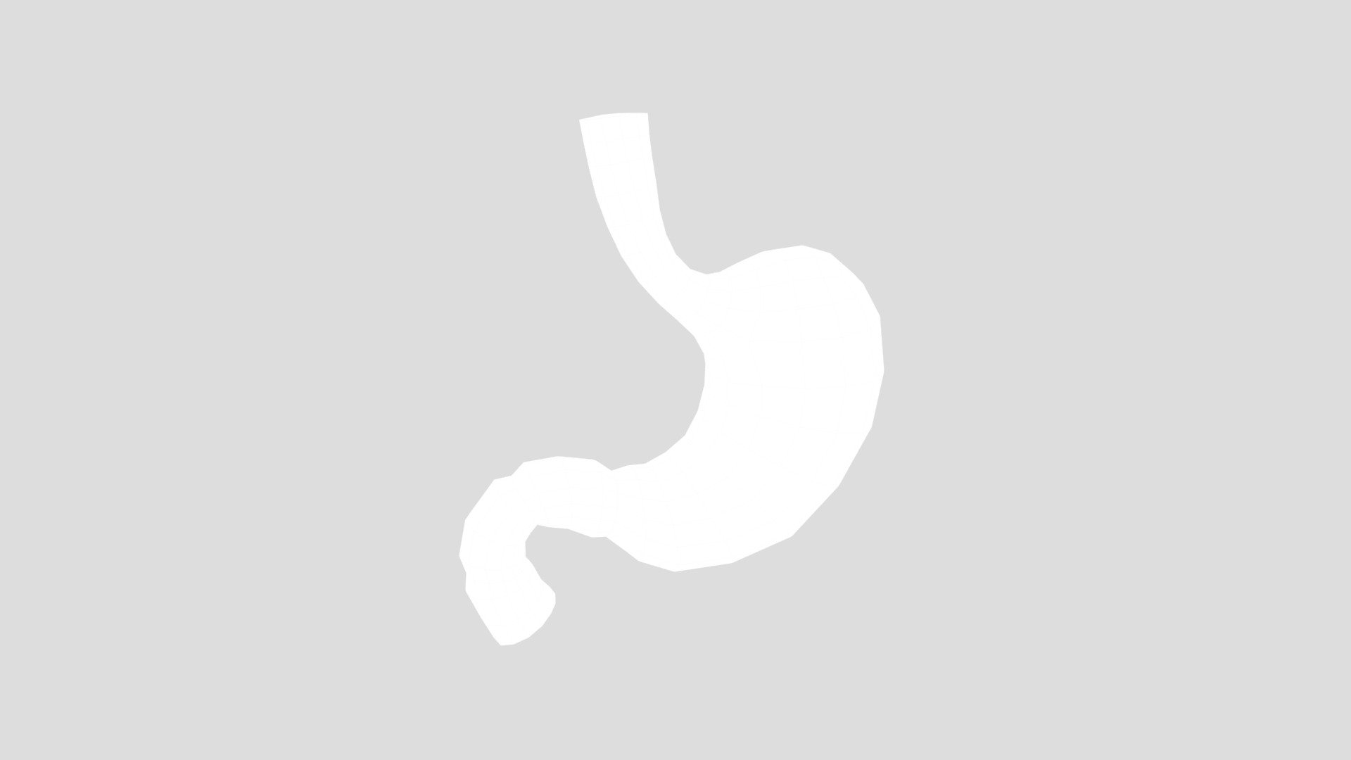 stomach - Download Free 3D model by juhoeny (@dltntjsv) [9146694 ...