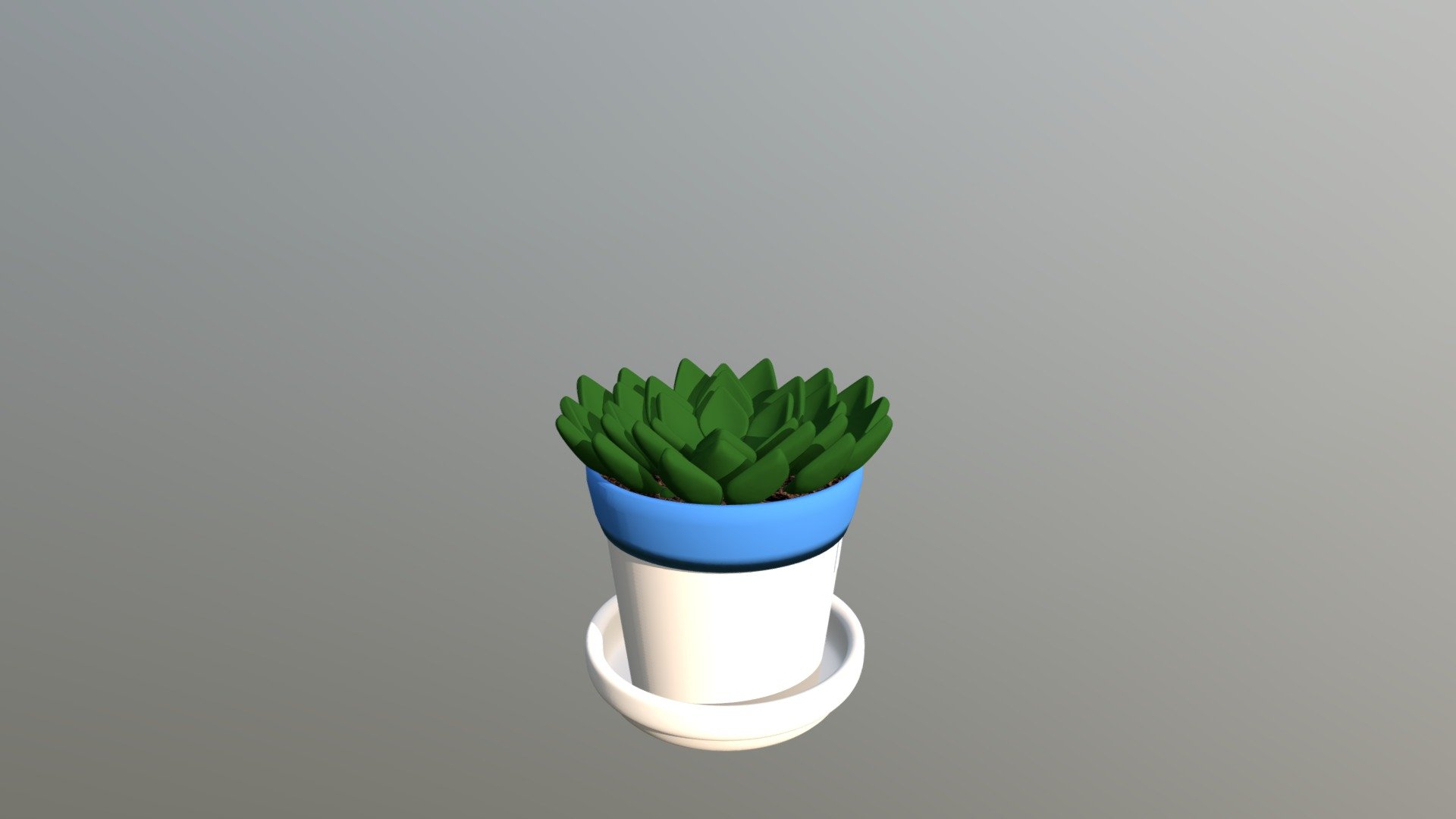 Succulent Plant - Download Free 3D model by nannchee [9155b2b] - Sketchfab