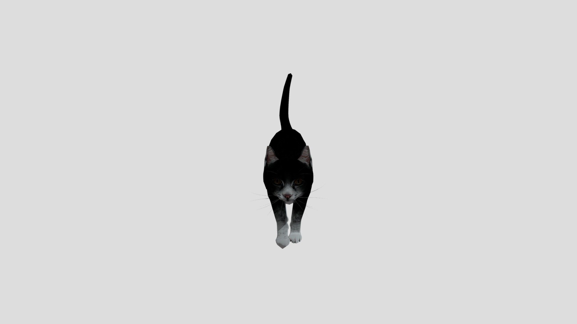 Cat Walk - Download Free 3D model by LostBoyz2078 (@LostModels2025 ...