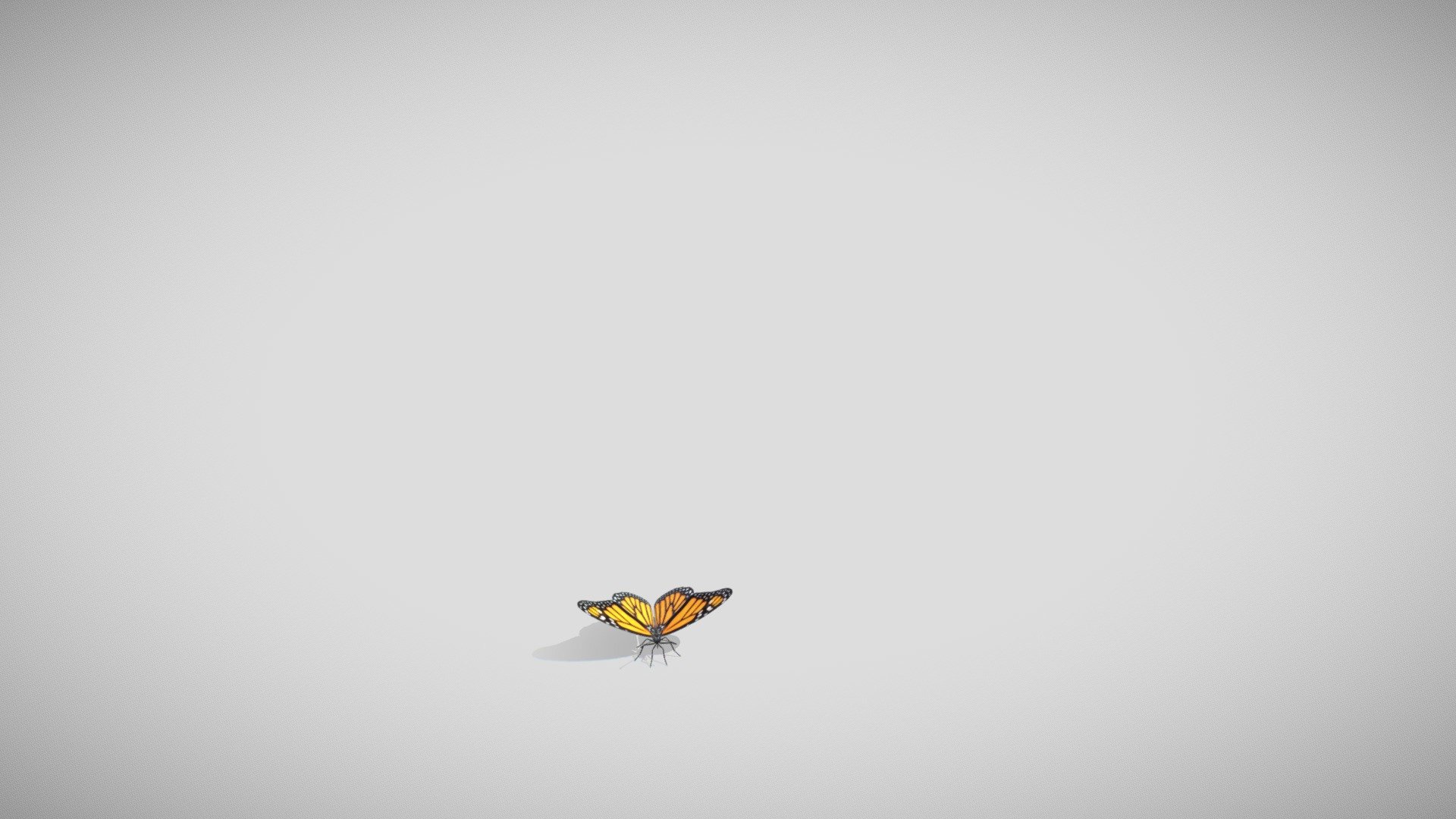 Monarch Butterfly Animation - Buy Royalty Free 3D model by MW 3D ...