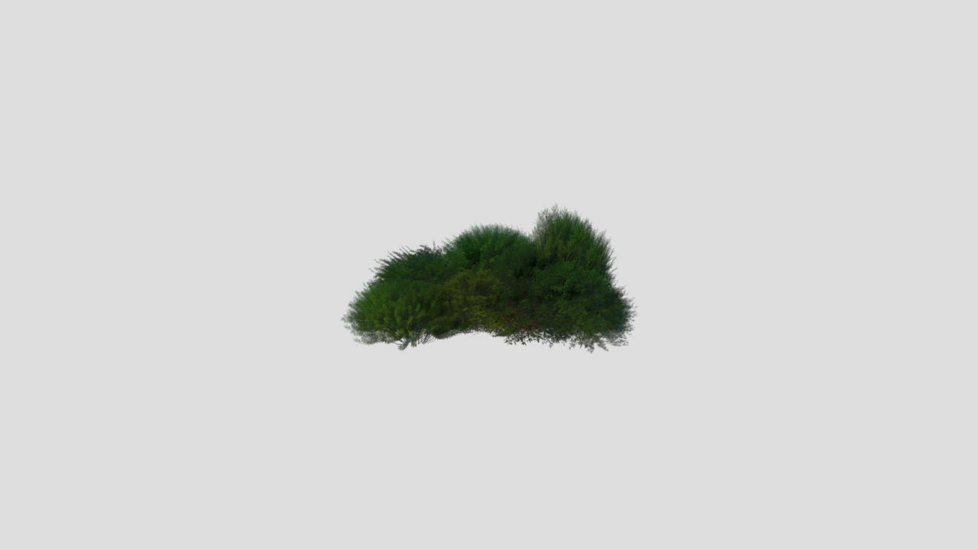 foliage02 - Download Free 3D model by bohuslavhybasek [91598bc] - Sketchfab