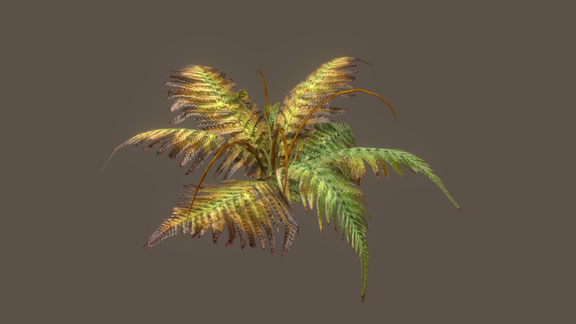 Fern 01 Dense - Buy Royalty Free 3D model by The Digital Shaman ...