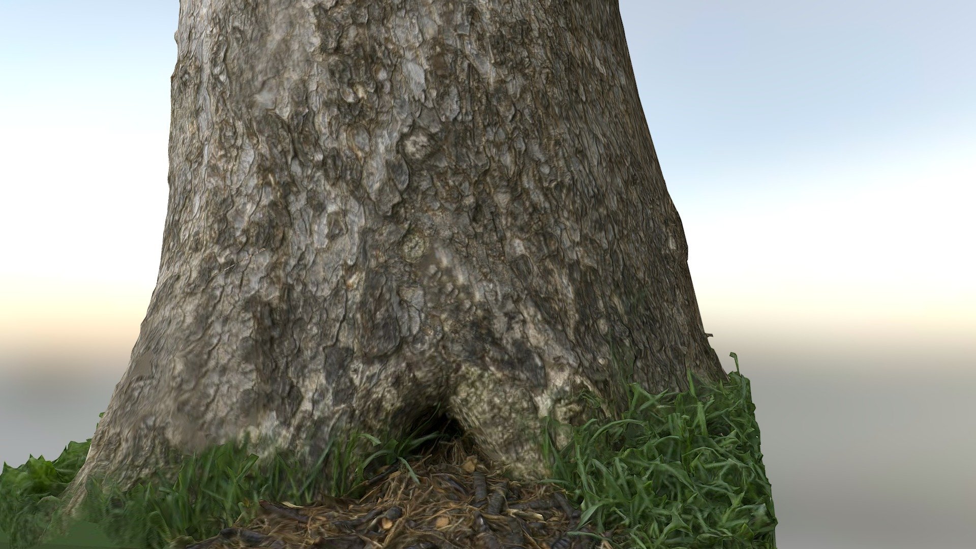 Tree Scan Simplified - 3D model by levitycreations [916529f] - Sketchfab