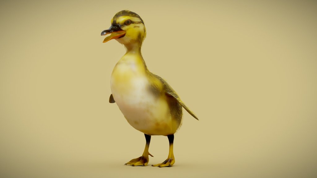 Duck - A 3D model collection by ThomasChampeaux - Sketchfab