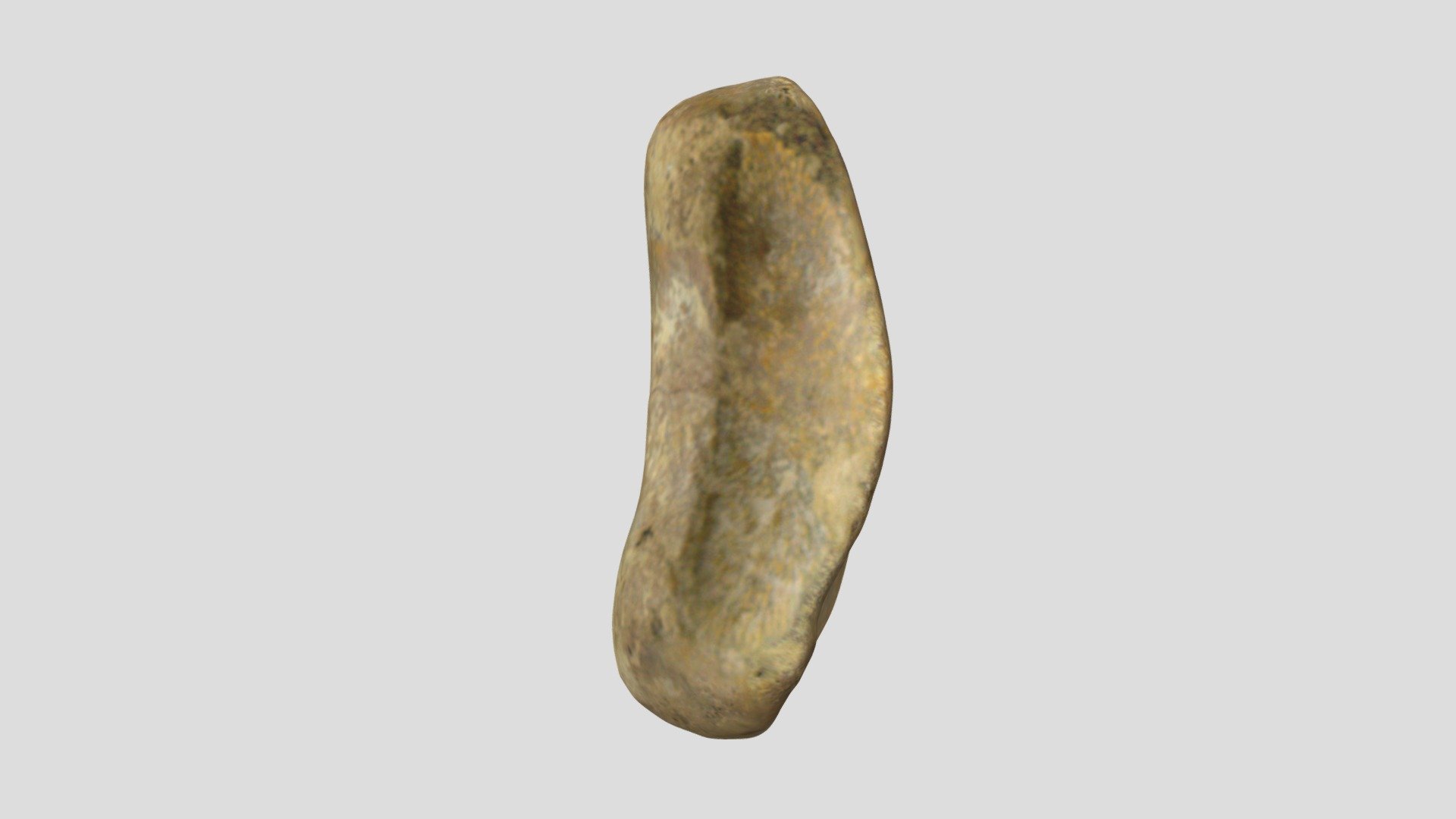 Hadrosaur toe digit fossil (L38B) - 3D model by Hong Kong Science ...