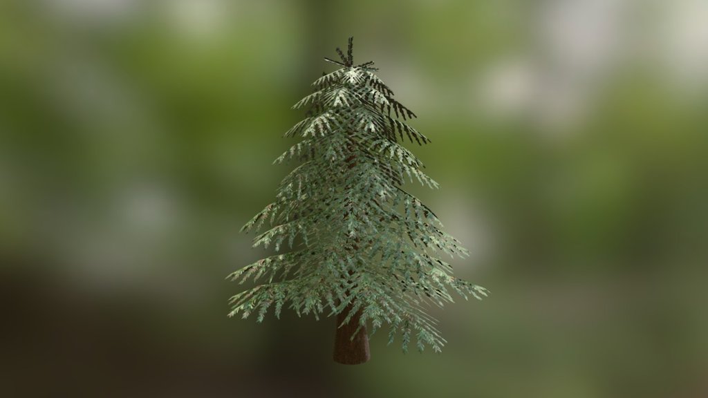 Evergreen Tree - 3D model by sophie [9172557] - Sketchfab