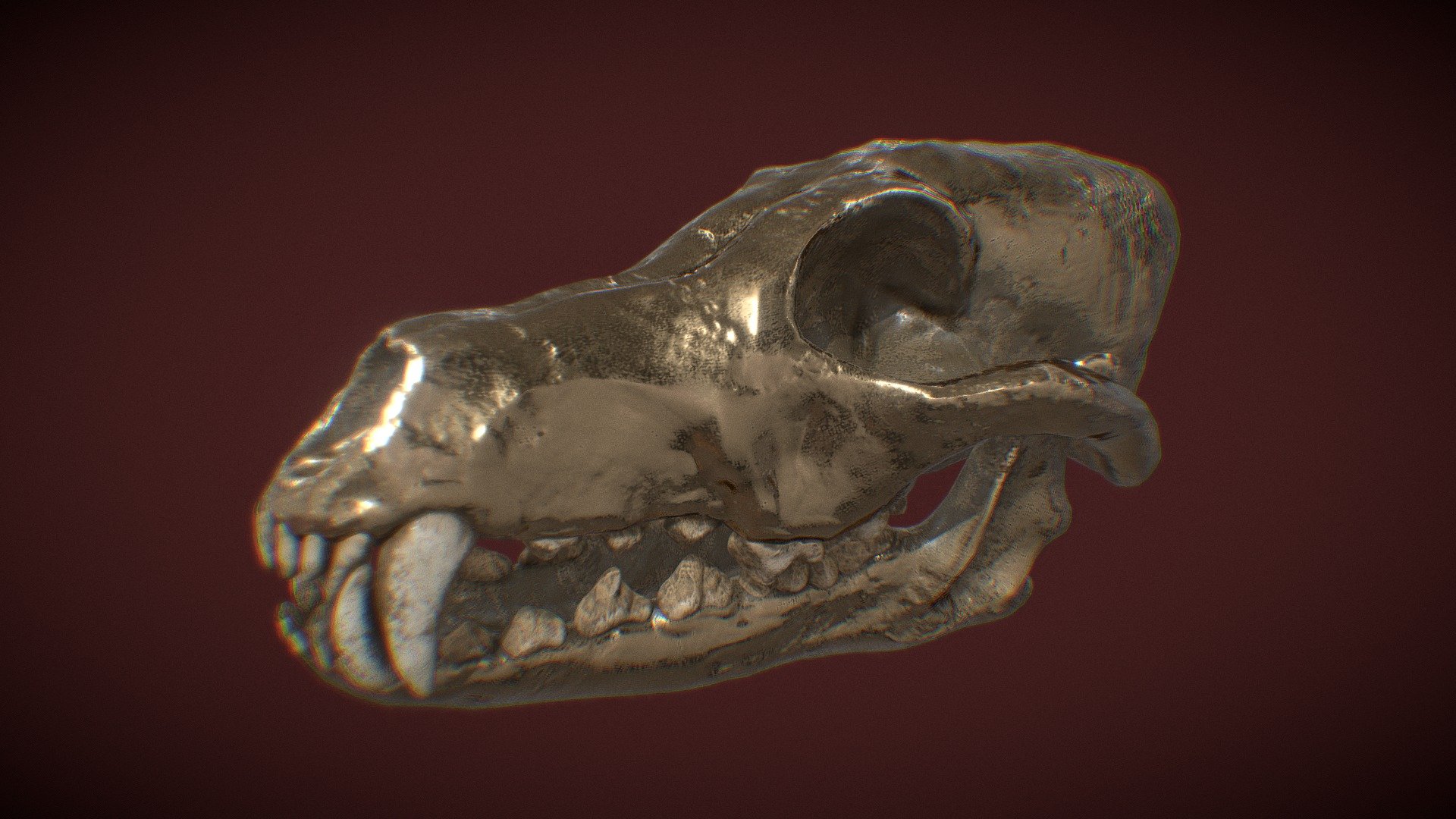 dog_skull_reboot - Buy Royalty Free 3D model by Tom Johnson (@Brigyon ...