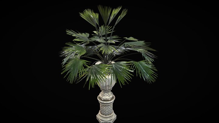 Flower 3D models - Sketchfab