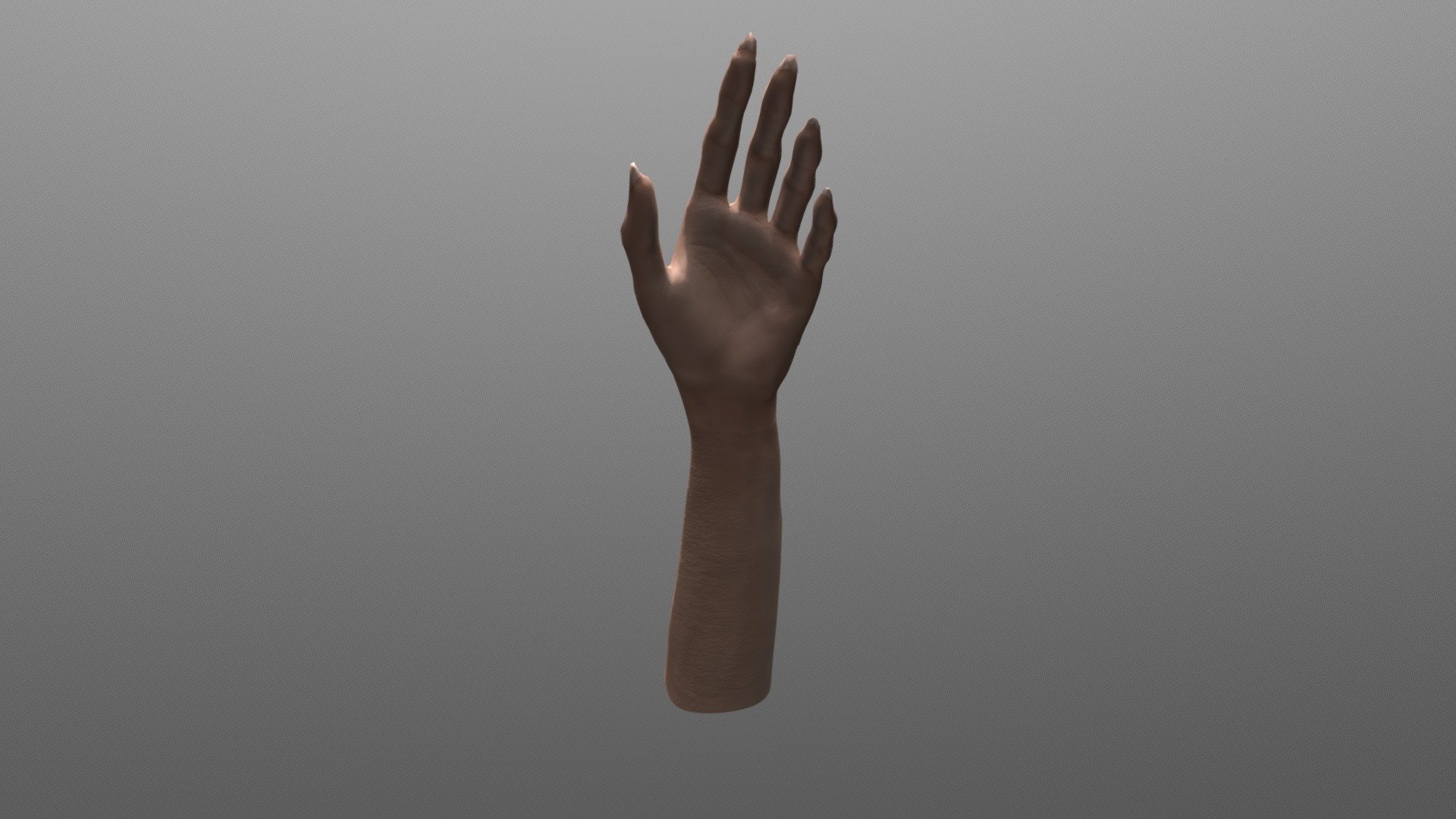 Hand3 - 3D model by monikazxcvbnm [917e74b] - Sketchfab