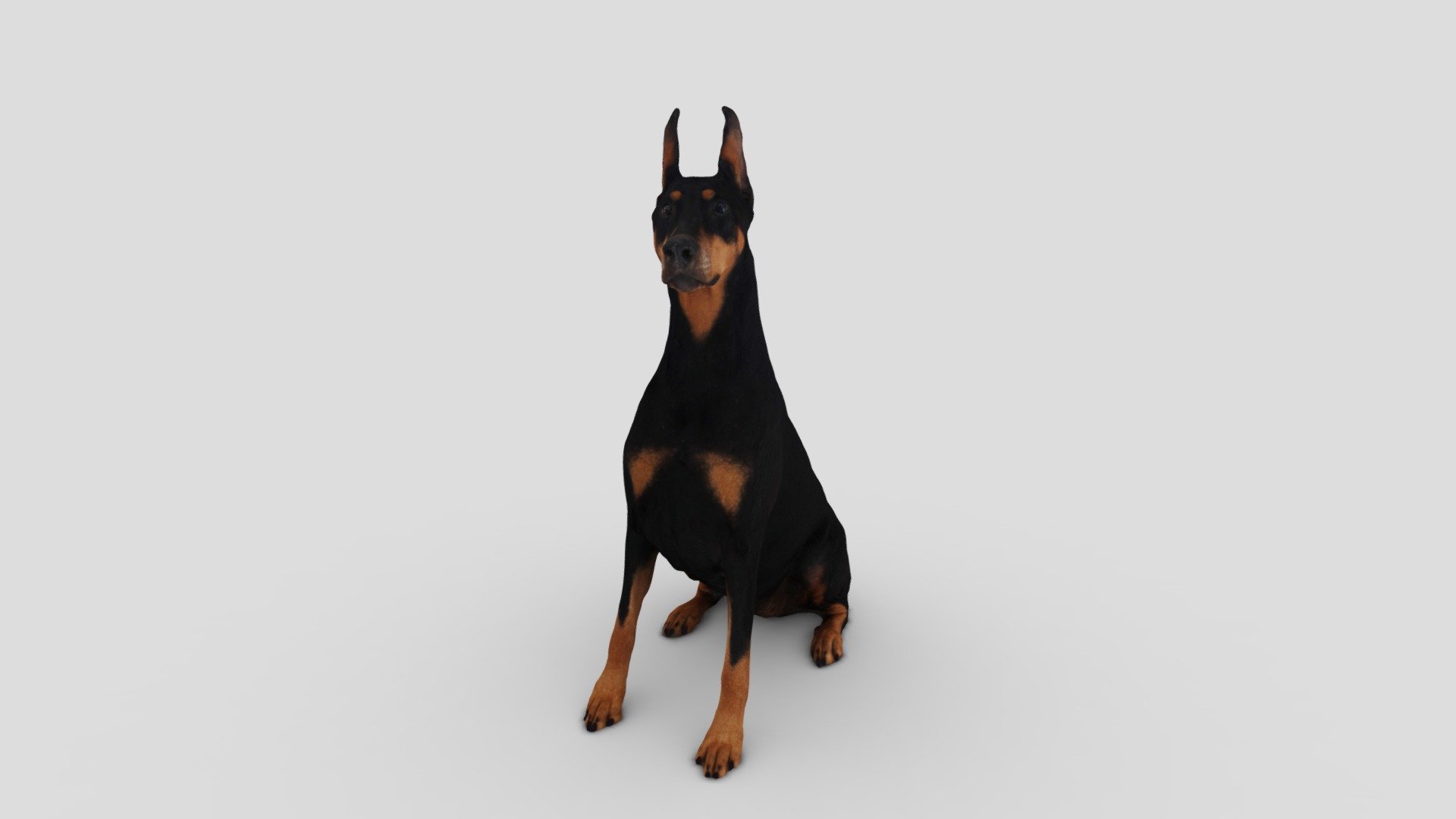 221029 Roxy In 3d Ready For Print 3d Model By Gravityb 918024c Sketchfab