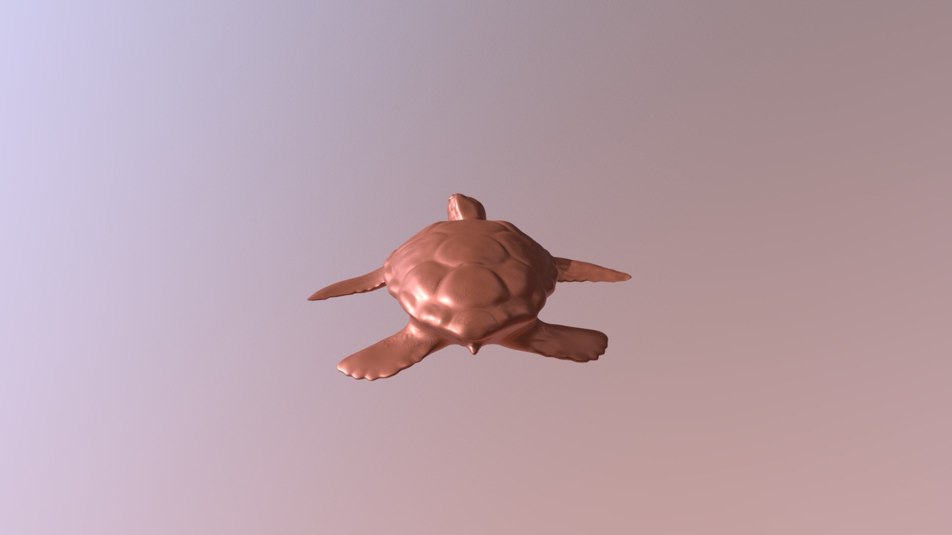 Green Sea Turtle - 3D model by Verdant (@verdant.stu) [9189391] - Sketchfab