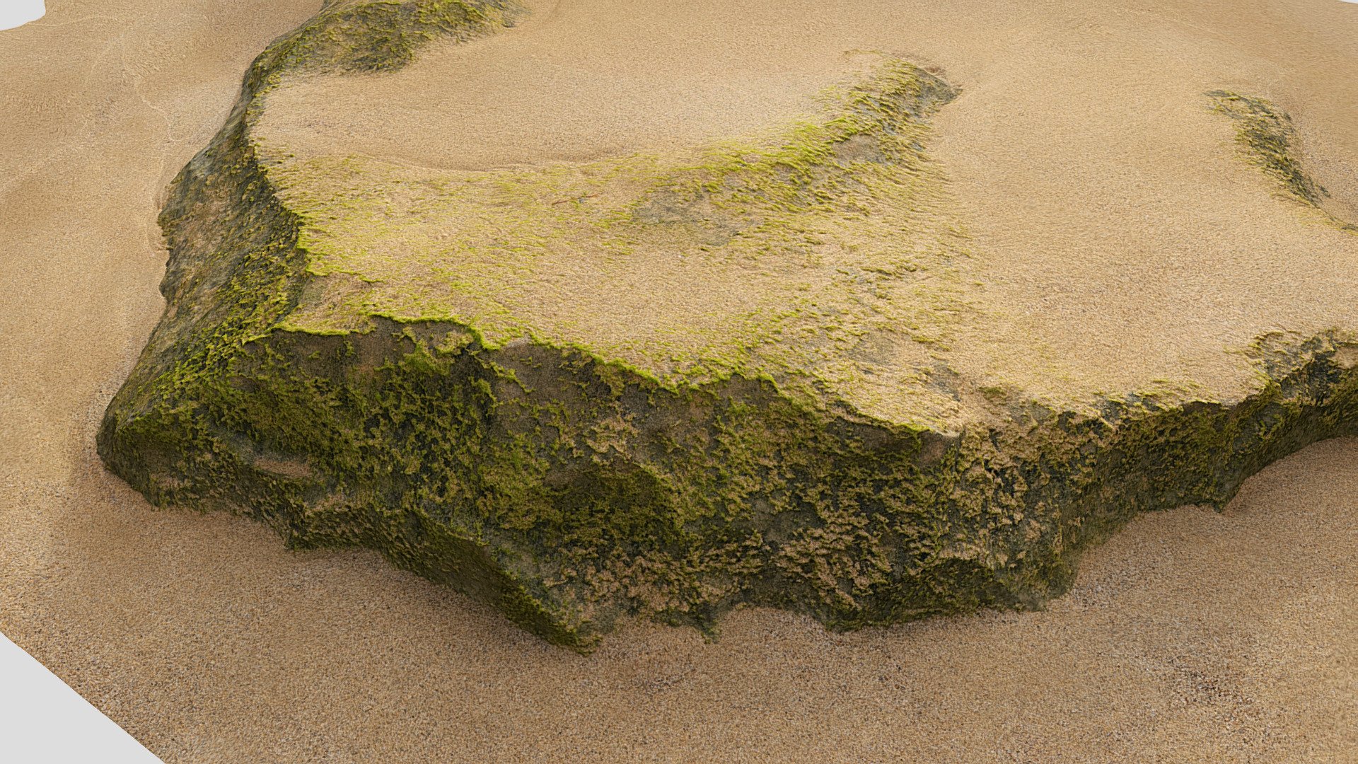 Ocean cliff scan 8k 013 - Buy Royalty Free 3D model by immerge [9189b12 ...