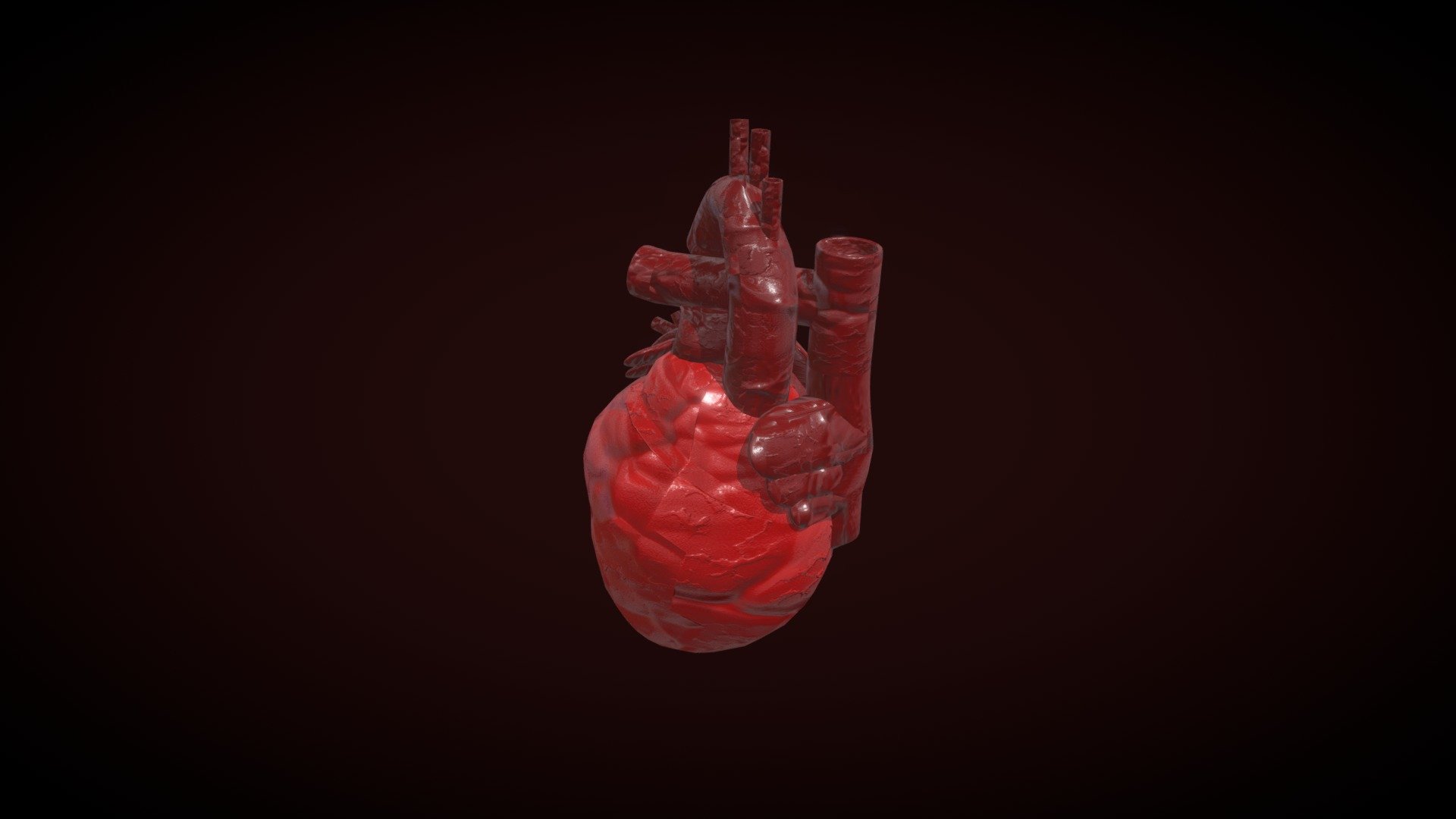 Human heart (realistic) - 3D model by Chiligi [918cb73] - Sketchfab