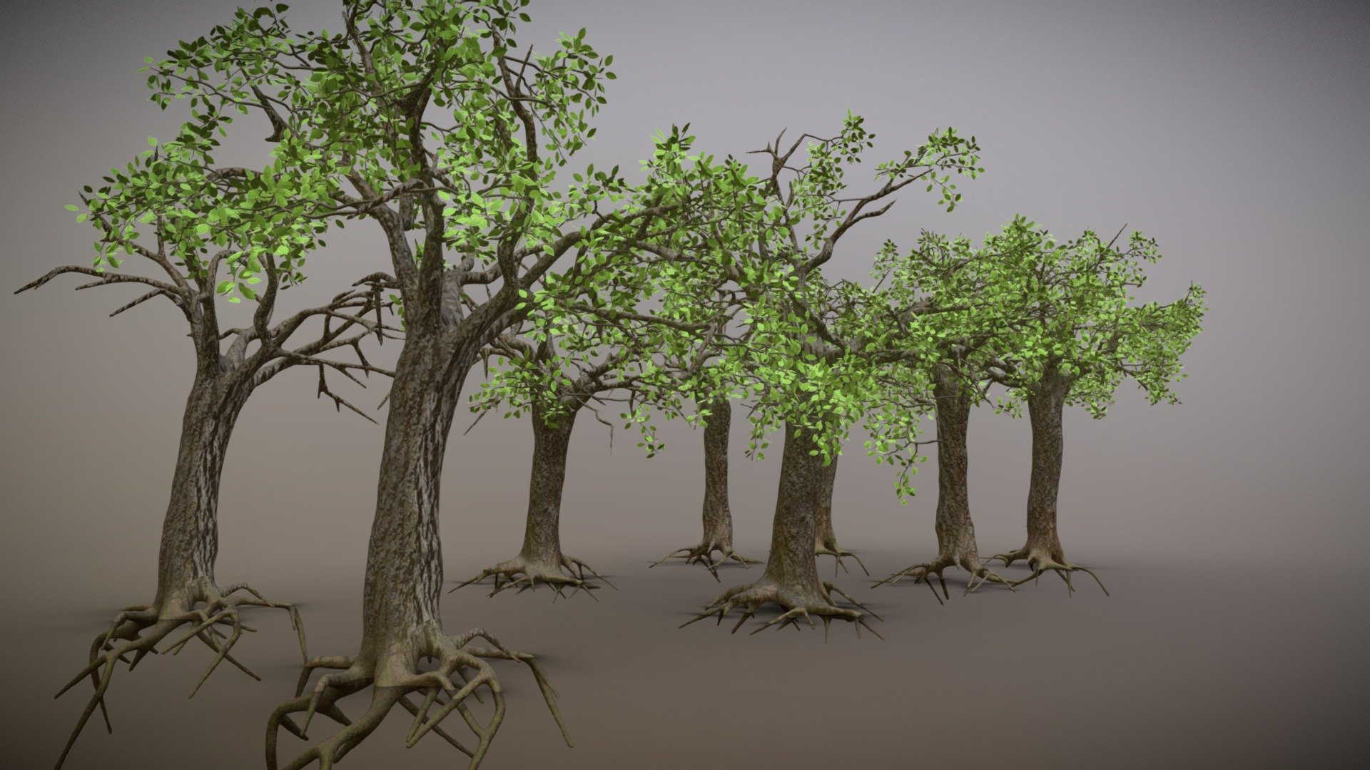 trees (new) - Download Free 3D model by Helindu [919c755] - Sketchfab