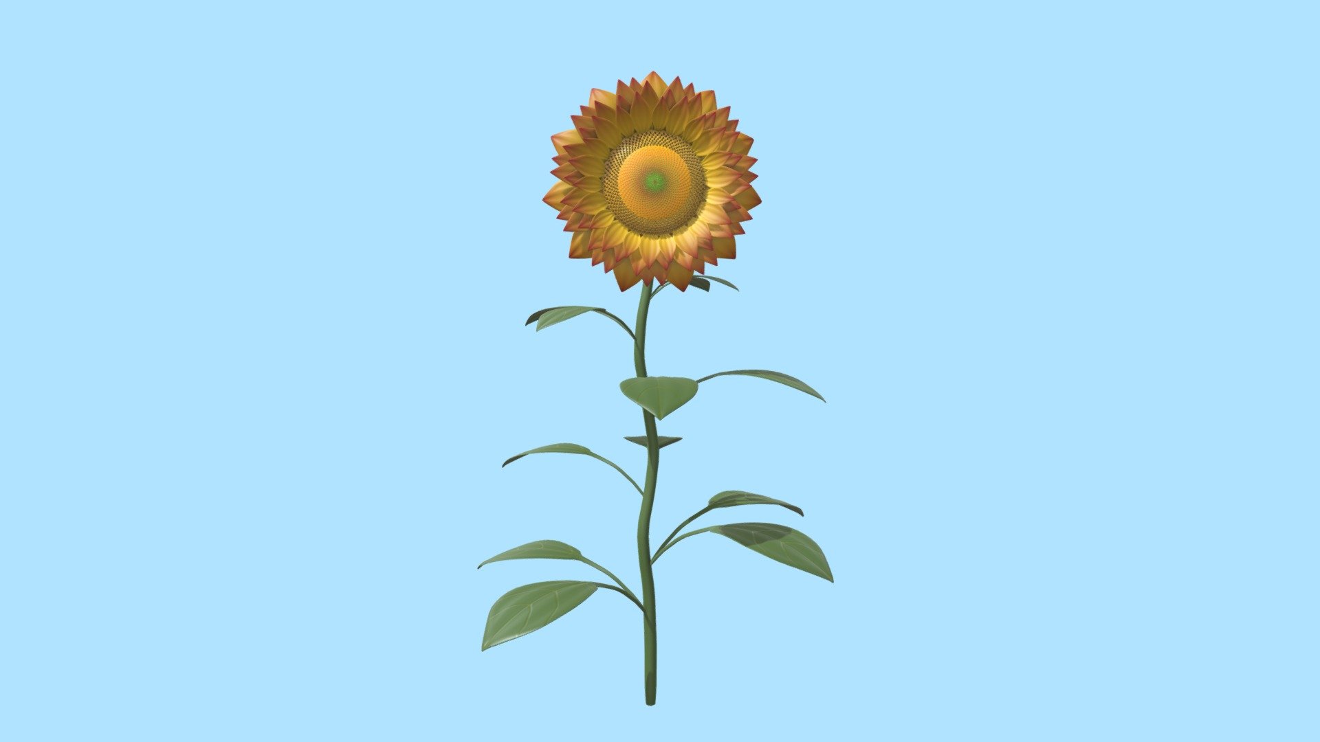 Sunflower - Download Free 3D model by RStorer152 [919e421] - Sketchfab