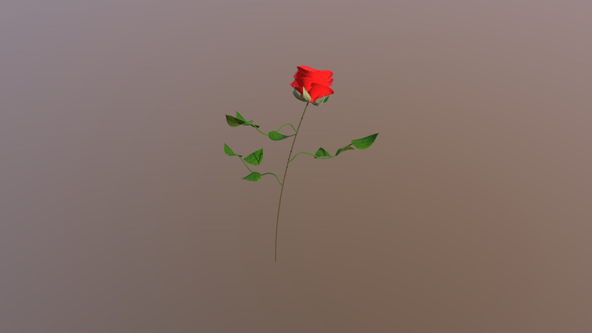 Rose Texturé - 3D model by jbay [91dd31f] - Sketchfab