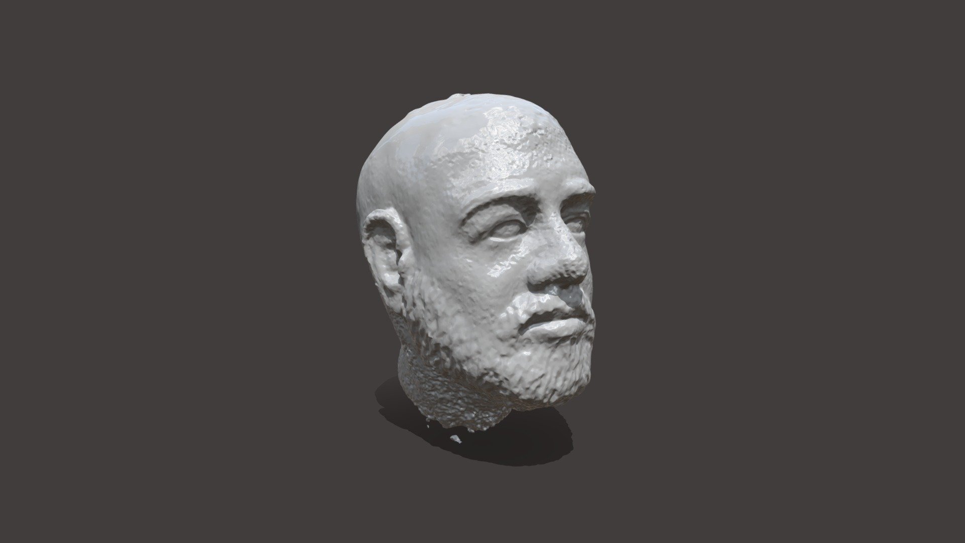 Self Portrait - 3D model by Camscan [91e7366] - Sketchfab