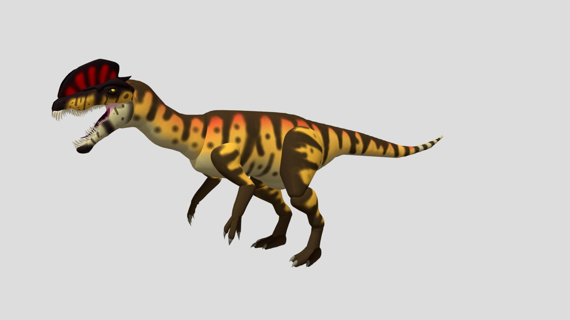 Dilophosaurus - Download Free 3D model by NexusSpeedster (@nexusfnf ...