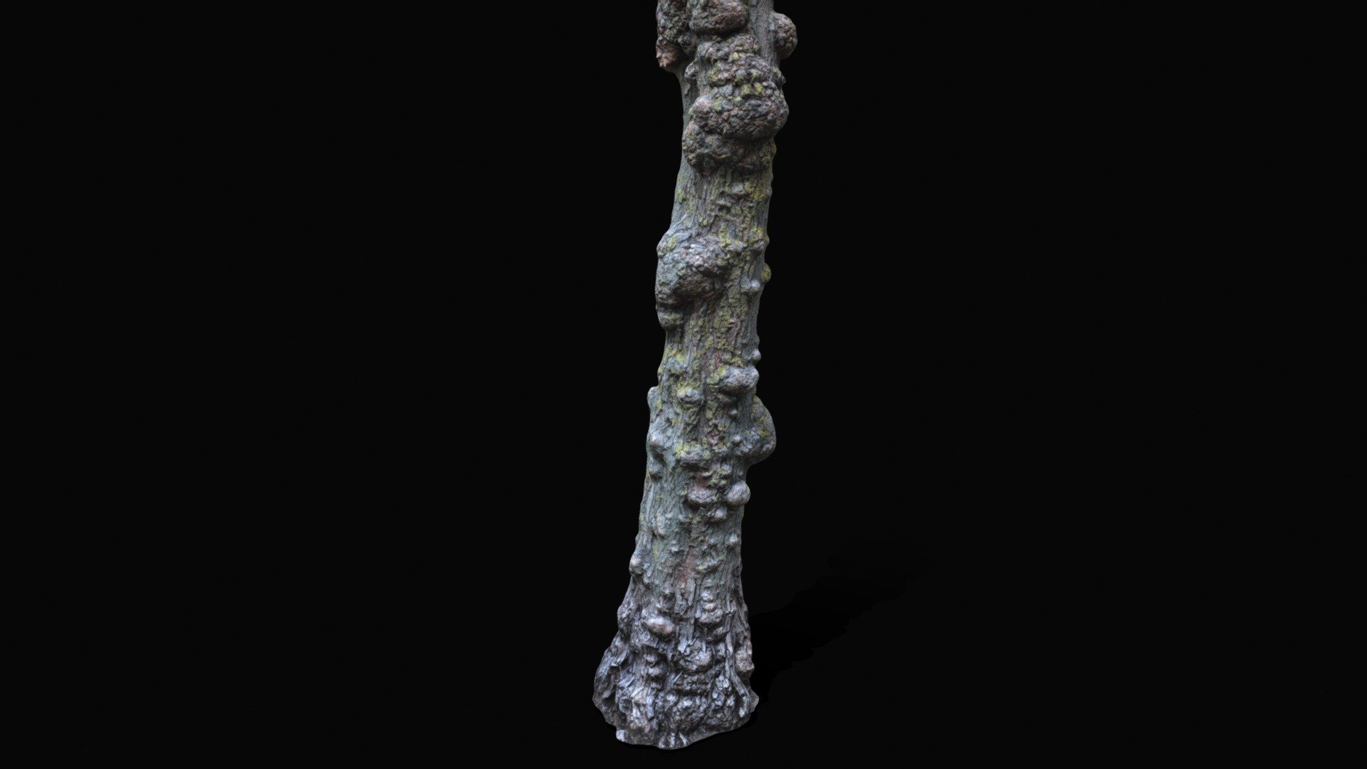 Knotty tree trunk with moss - Scan - Buy Royalty Free 3D model by ...
