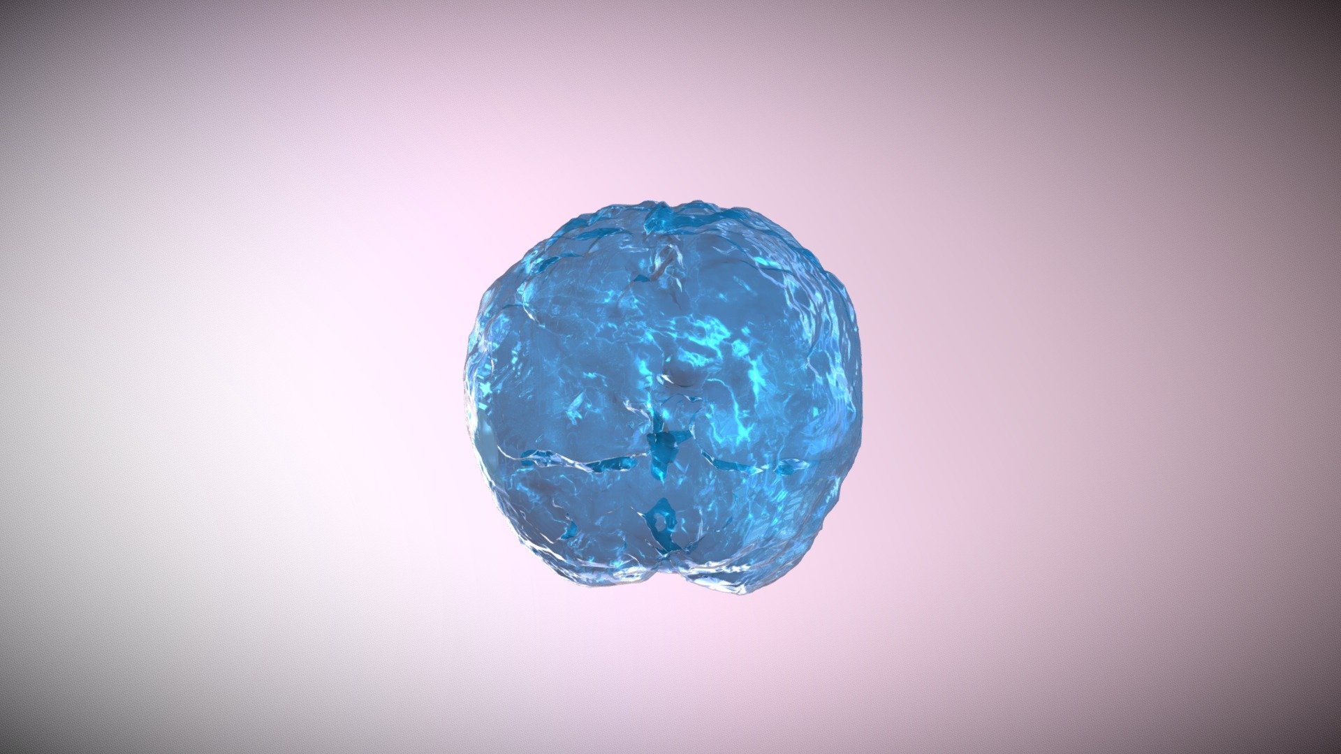 Brain Model from MRI - Download Free 3D model by schlabo [91ea1b5 ...