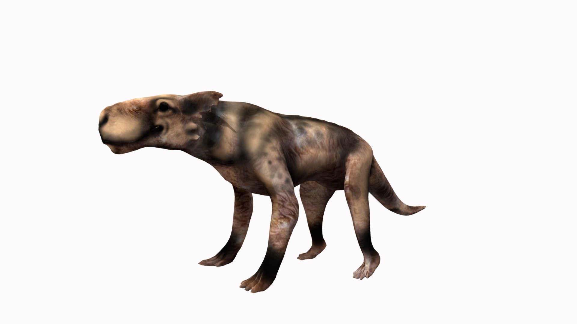 Lycaenops therapsid - Download Free 3D model by Robert_the_whale ...