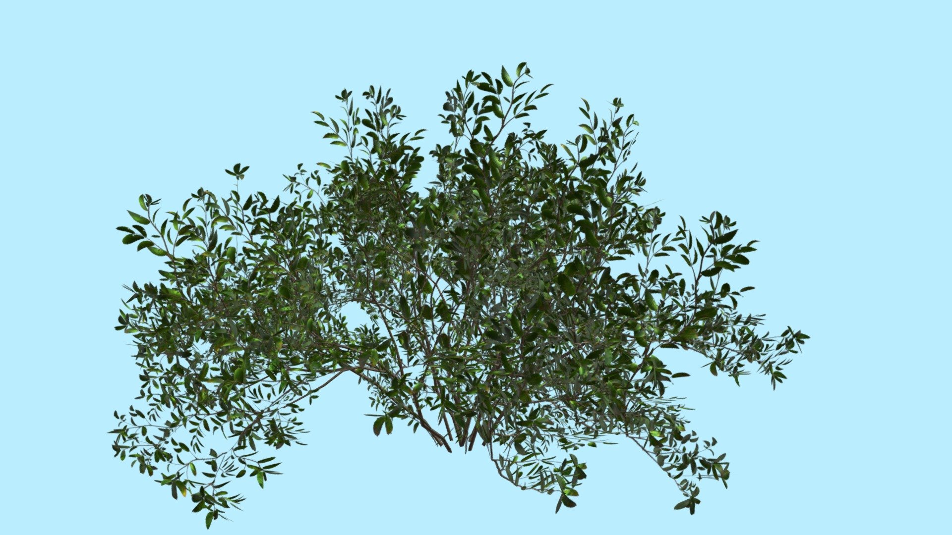 Game Ready Bush - Buy Royalty Free 3D model by 7thFlare [91f0548 ...