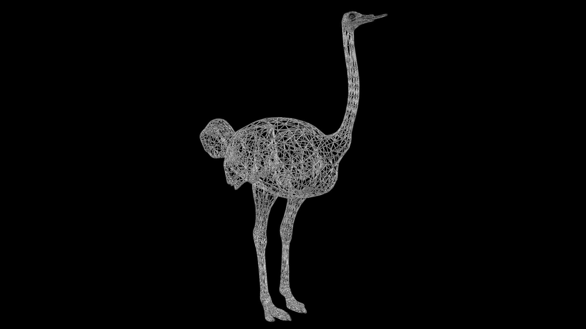 OSTRICH WIREFRAME - Buy Royalty Free 3D model by DTA DESIGN STUDIO ...