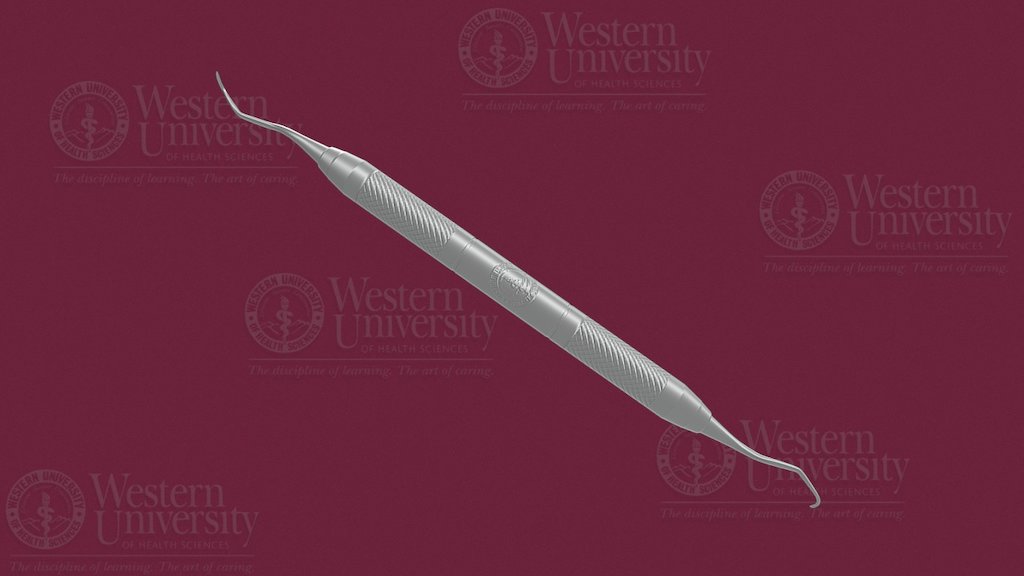 300120 Dental Scaler 13/14 - 3D model by WesternU3D [91fc9bf] - Sketchfab
