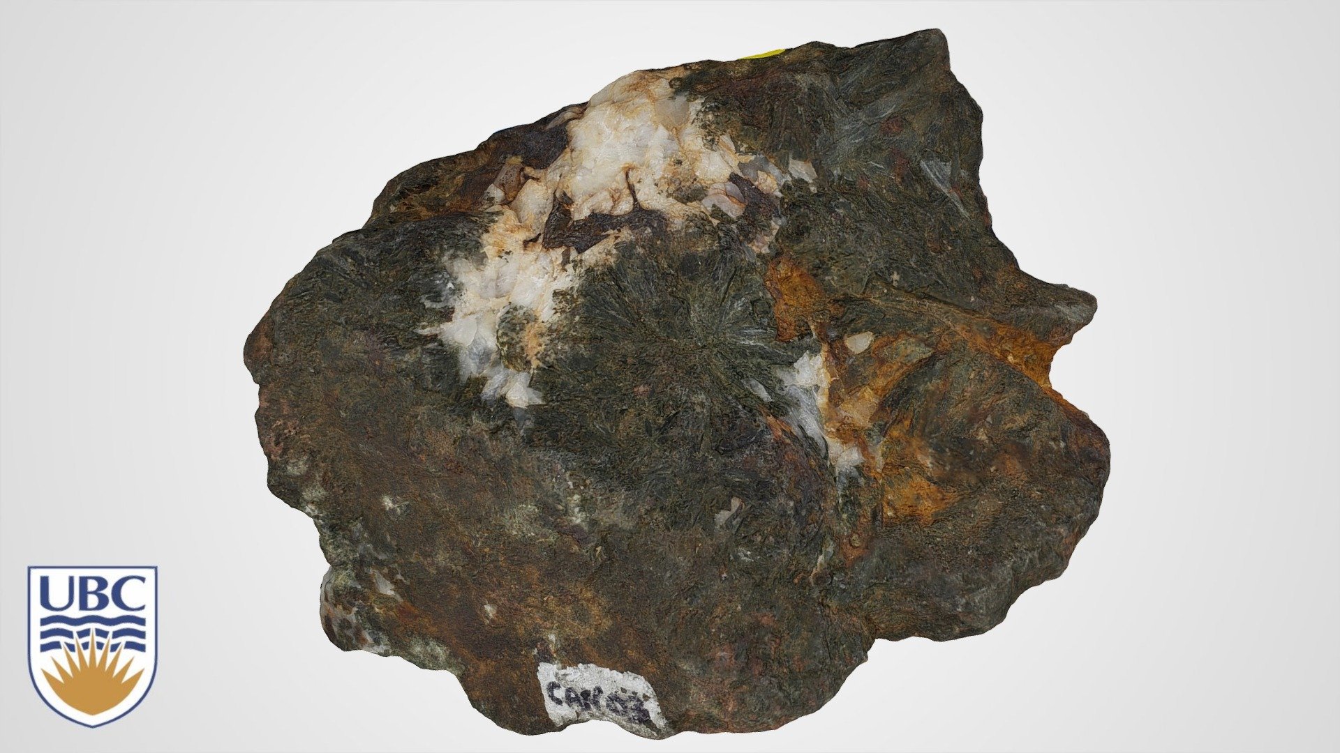 CAN-03 (Cantung Skarn) - 3D model by Nichole Moerhuis (UBC Geology ...