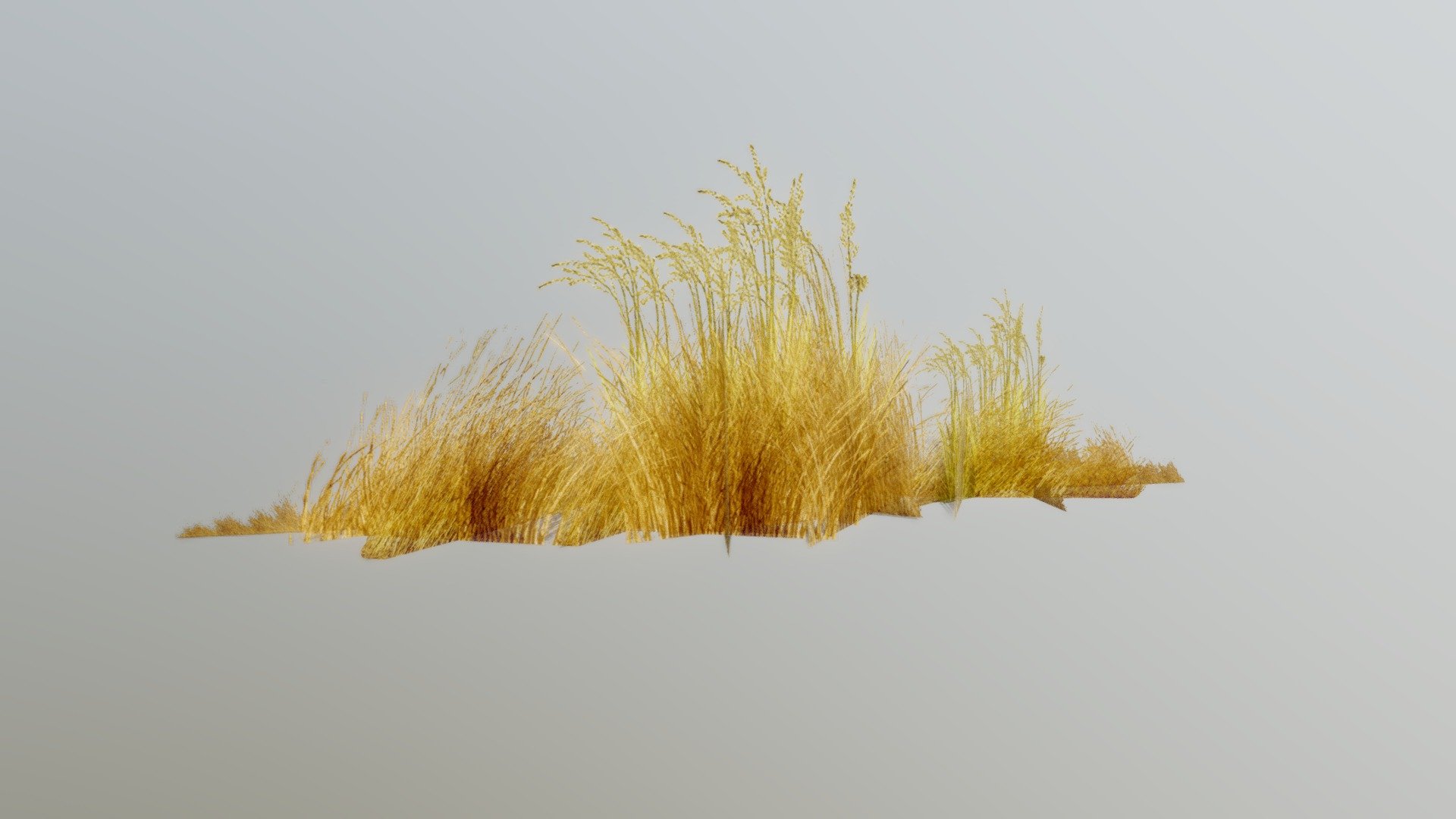 Dry Grass - Buy Royalty Free 3D model by Luis Gustavo (@Luissantos2) [92022b0] - Sketchfab Store