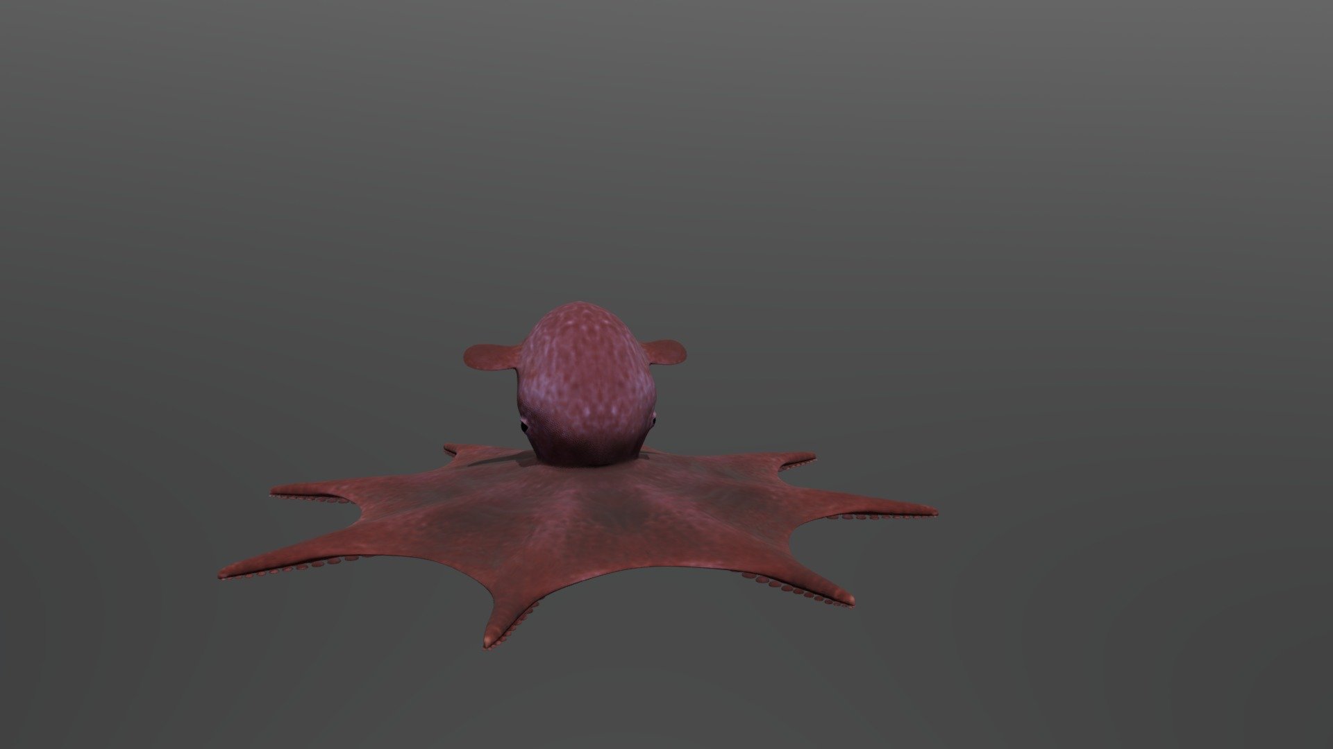 Dumbo Octopus - 3D model by BBT (@brian_bt636) [9203306] - Sketchfab