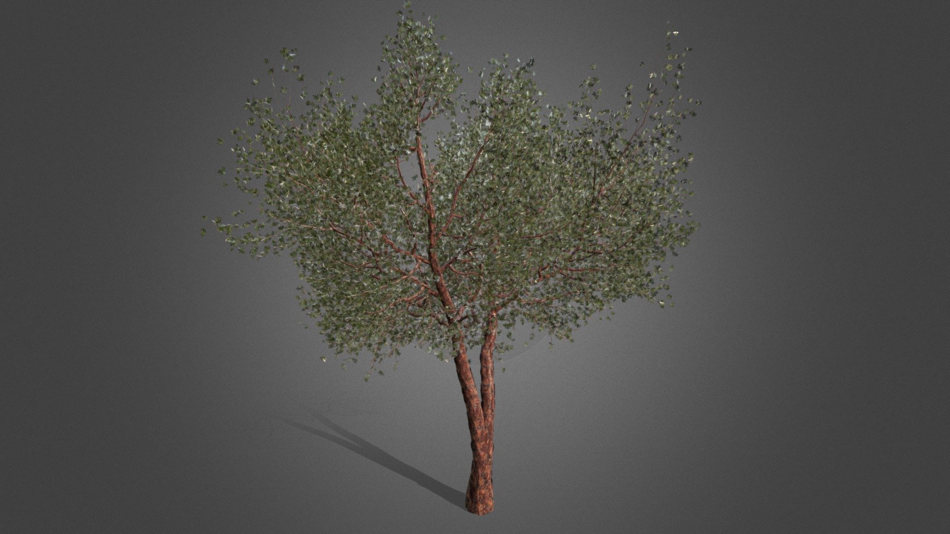 Quinual - Download Free 3D model by hanandess [9206392] - Sketchfab