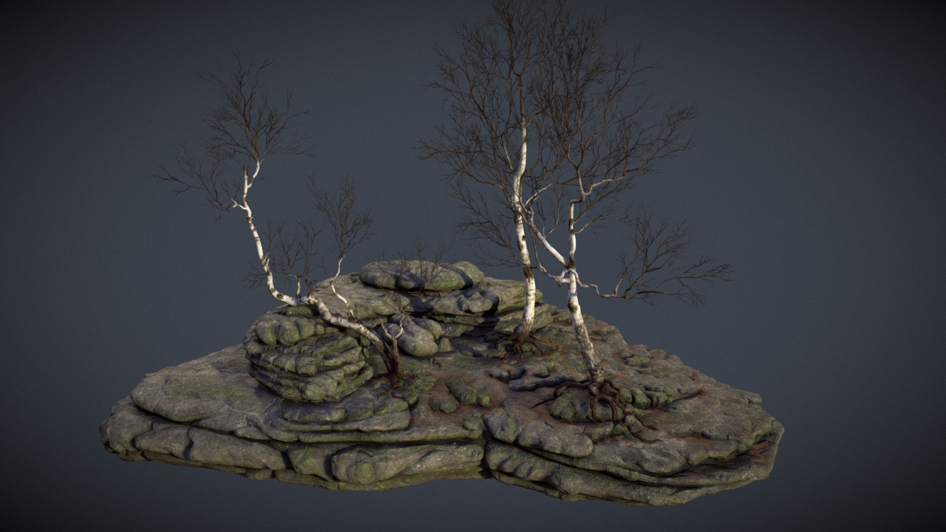 Birch Trees - Diorama - 3D model by Anna Rotenberg (@katzora) [9207238 ...