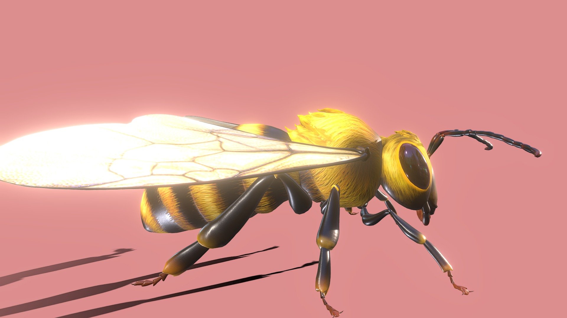 Bee Animation Rigged - Download Free 3D model by ᄂΣVIП X GΛMIПG (@levin ...