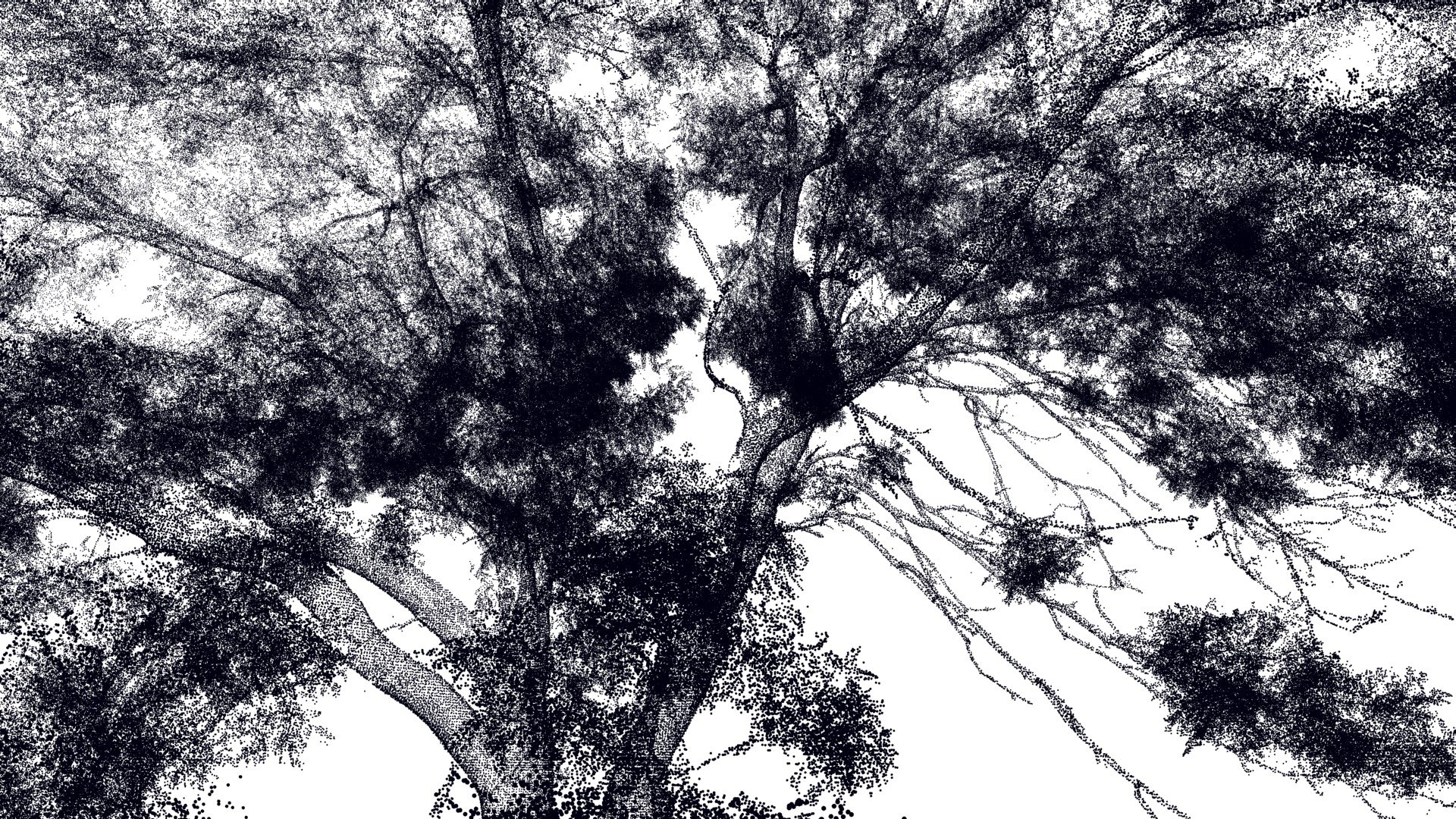 A giant tree, 3D scan, point cloud - Buy Royalty Free 3D model by ...