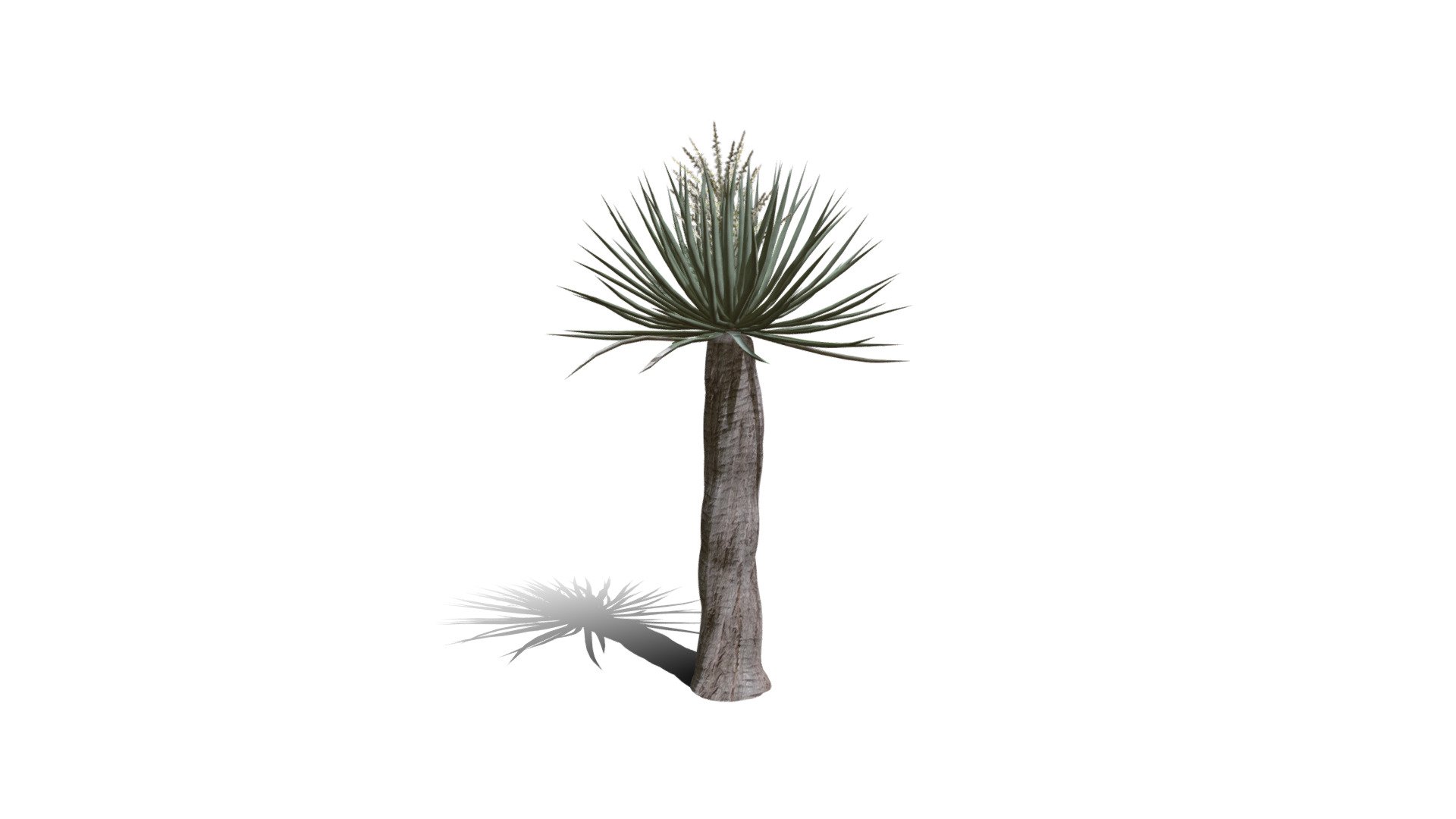 Realistic HD Dragon tree (7/50) - Download Free 3D model by ...