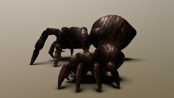 Spiders 3D models - Sketchfab