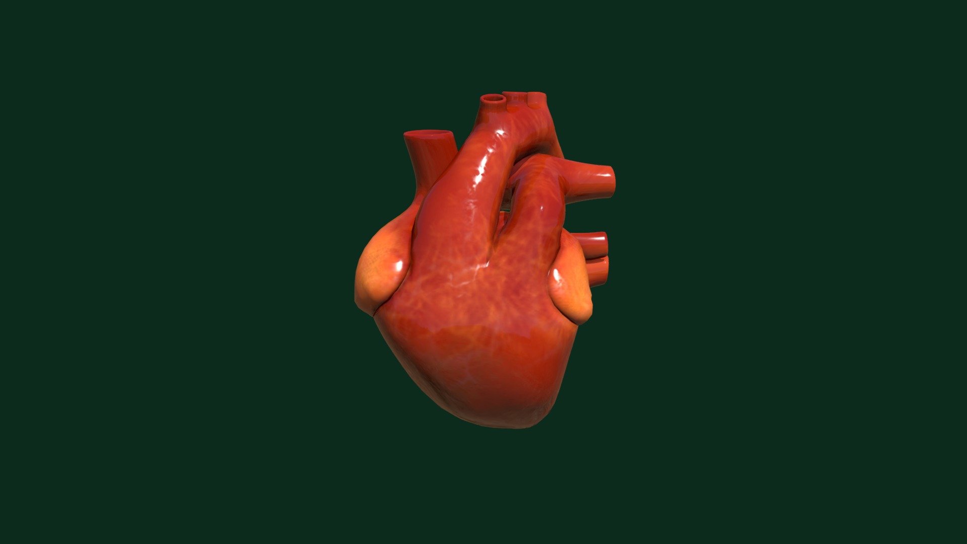 Heart Pump Animation - Buy Royalty Free 3D model by Magicalorbs ...