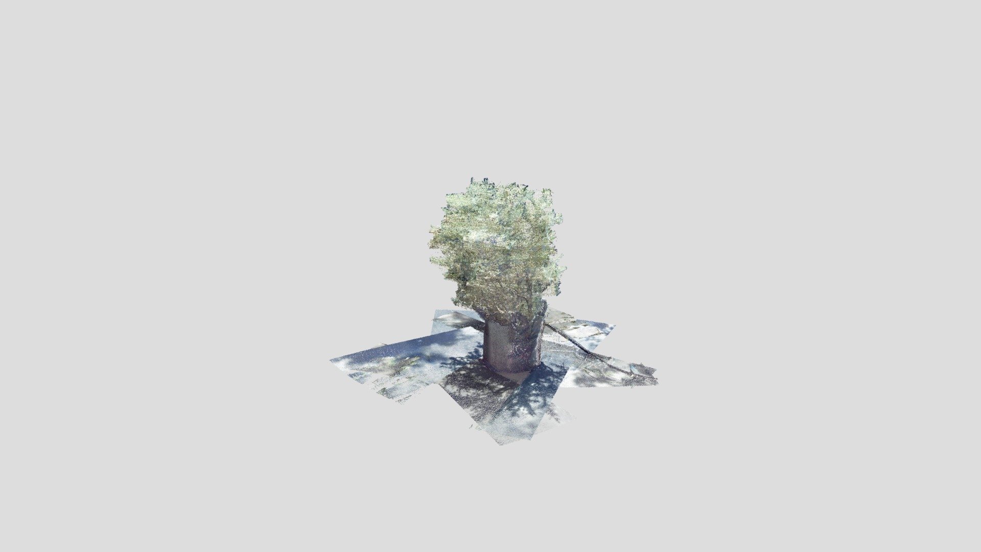 Gorse 0.5mm resolution with wind - 3D model by data-kat [922aed2 ...