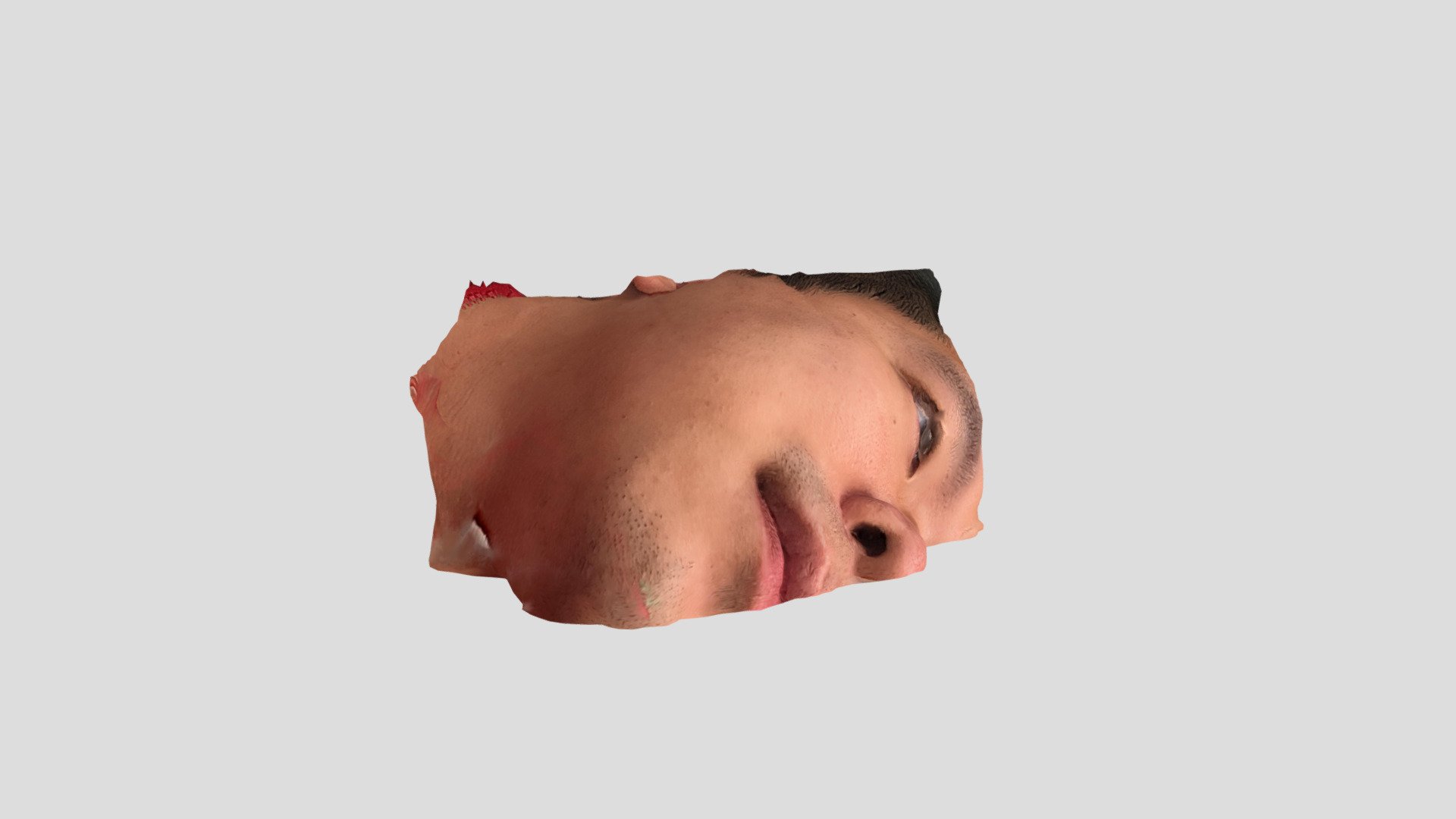 Half Face - 3D model by T.C. (@ffmaer) [922c7d2] - Sketchfab